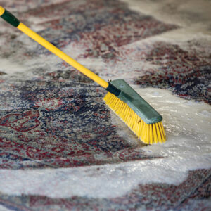 Chicago Carpet Care | Expert Carpet Cleaning Solutions in Chicago